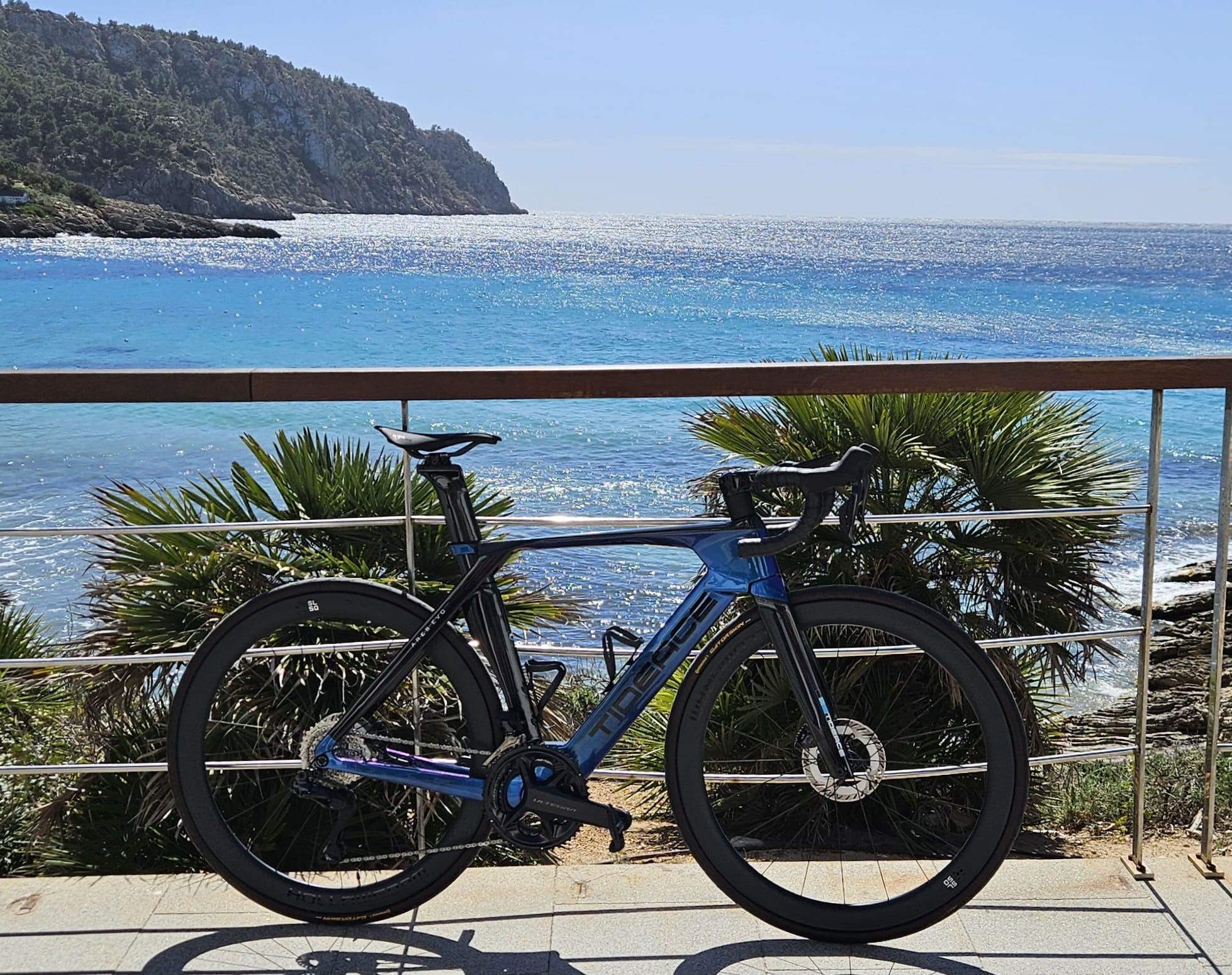 Customize Your Carbon Bike Frame: Colors, Paint & Design – TIDEACEBIKE